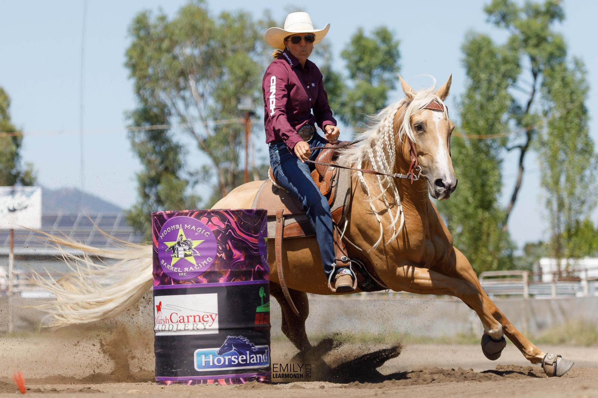 Gallery – Nichole Fitzpatrick