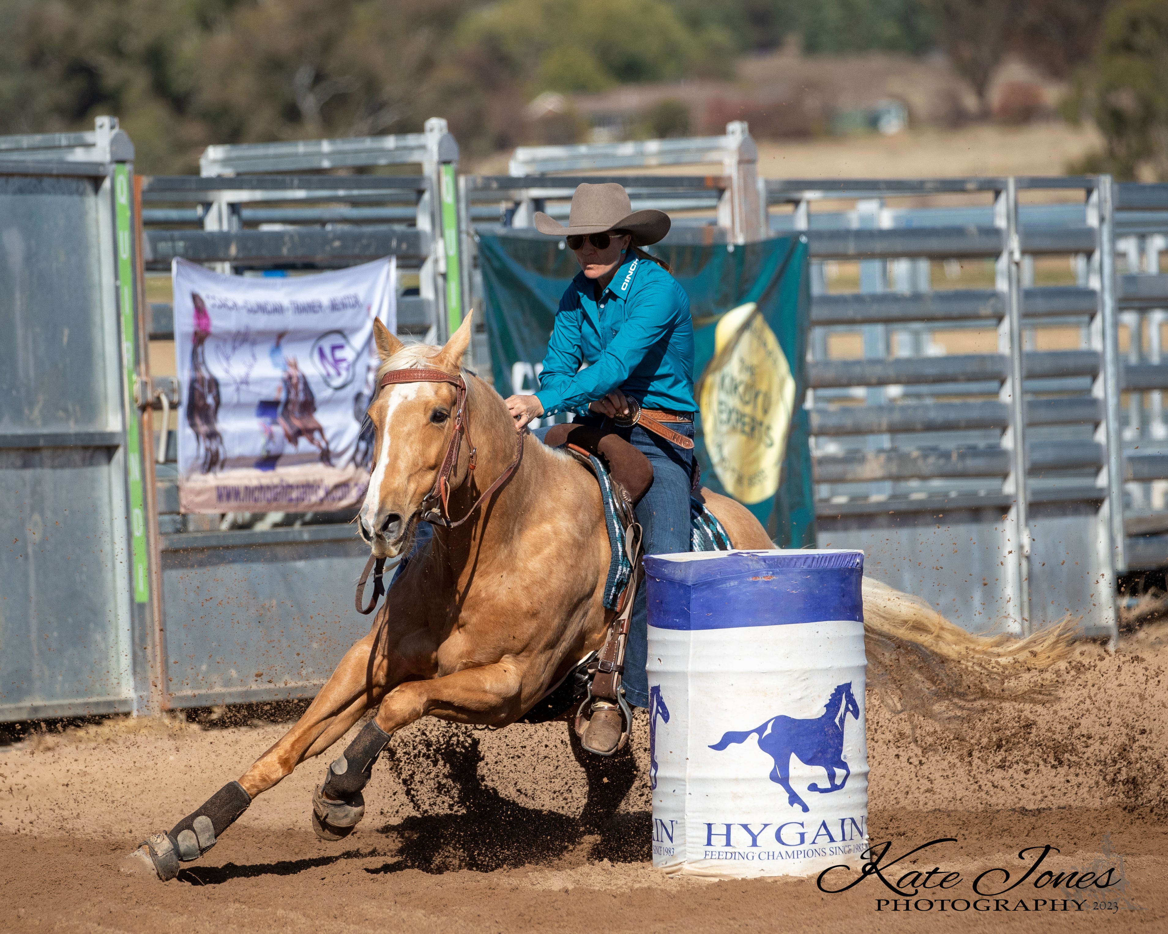 Gallery – Nichole Fitzpatrick