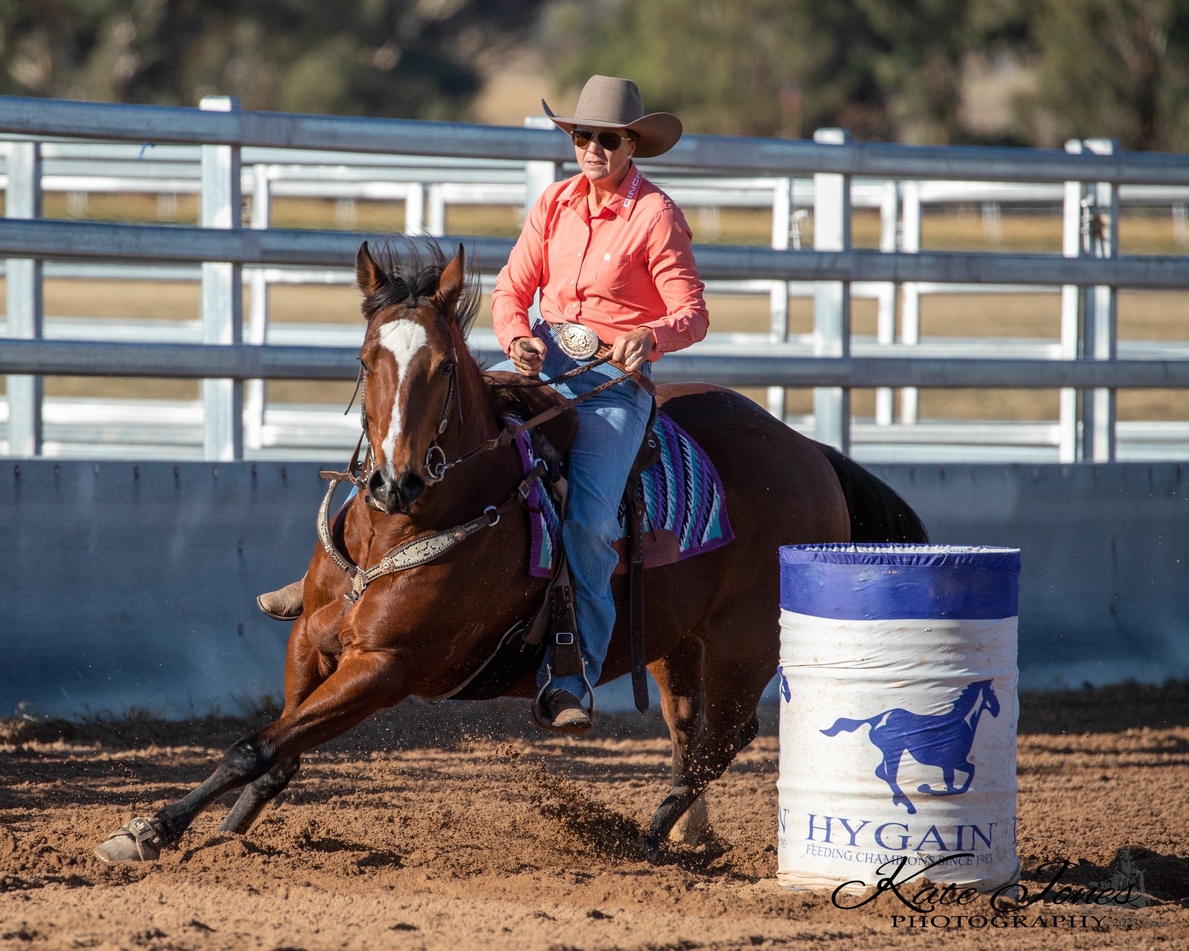 Gallery – Nichole Fitzpatrick