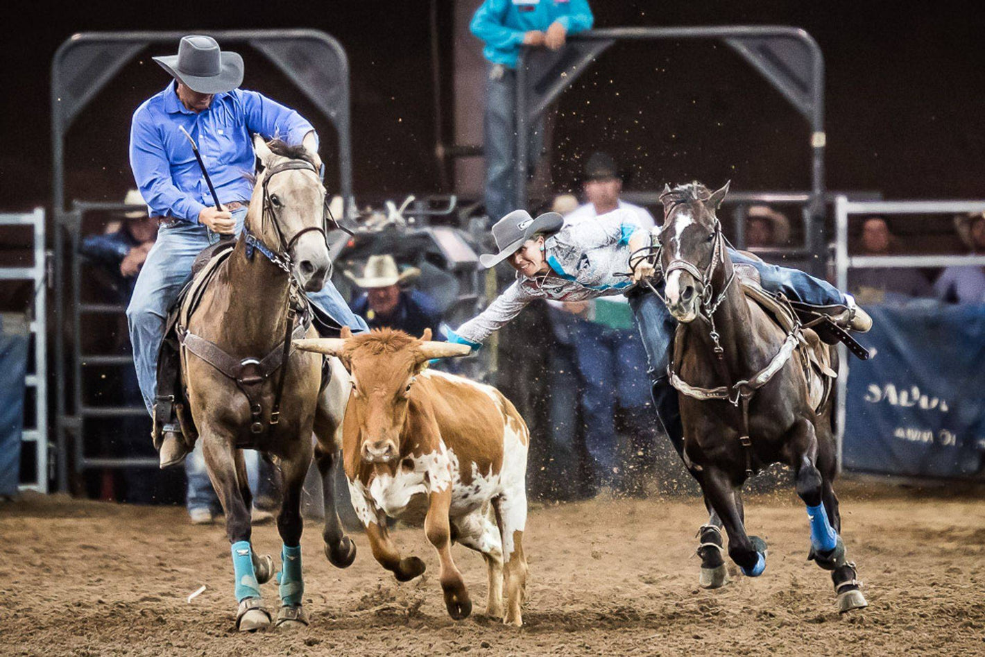 Achievements – Nichole Fitzpatrick